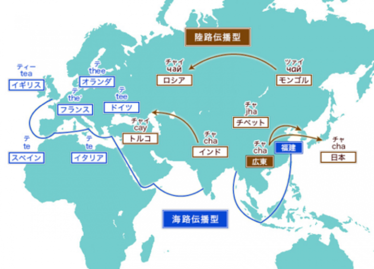 The origins of tea | Washoku Lovers